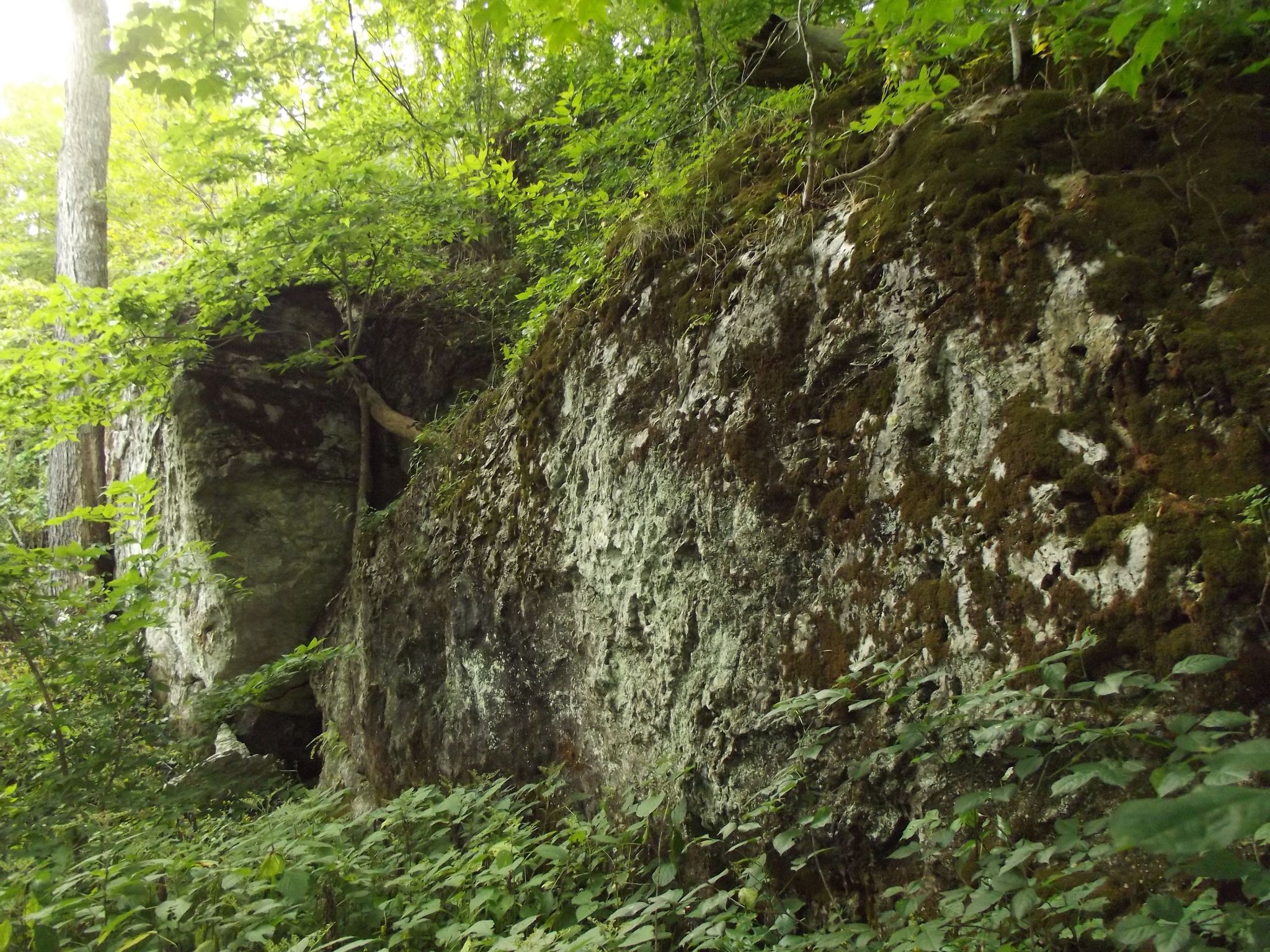 halborlandamericancountryman.com – Hal Borland