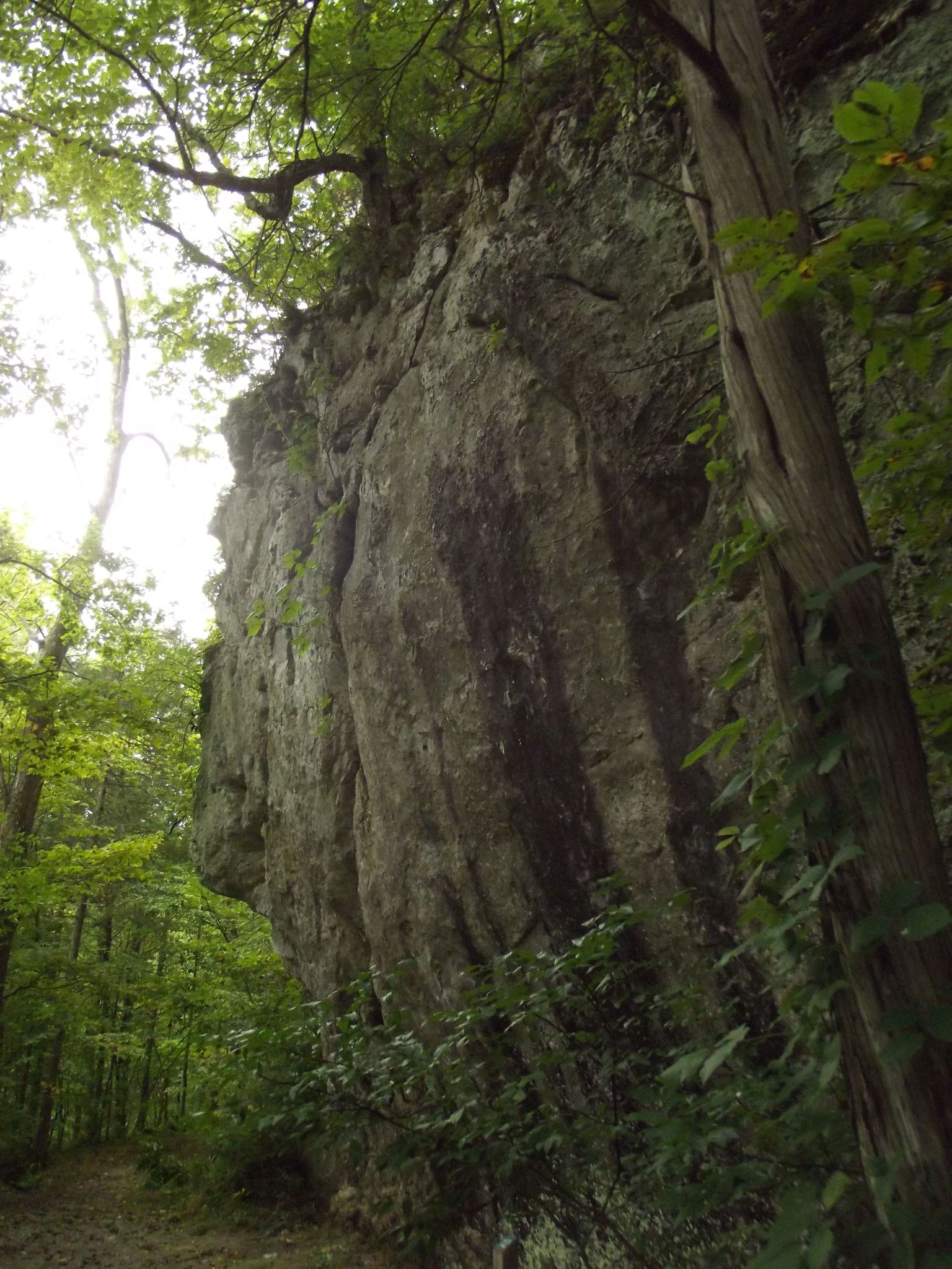 halborlandamericancountryman.com – Hal Borland