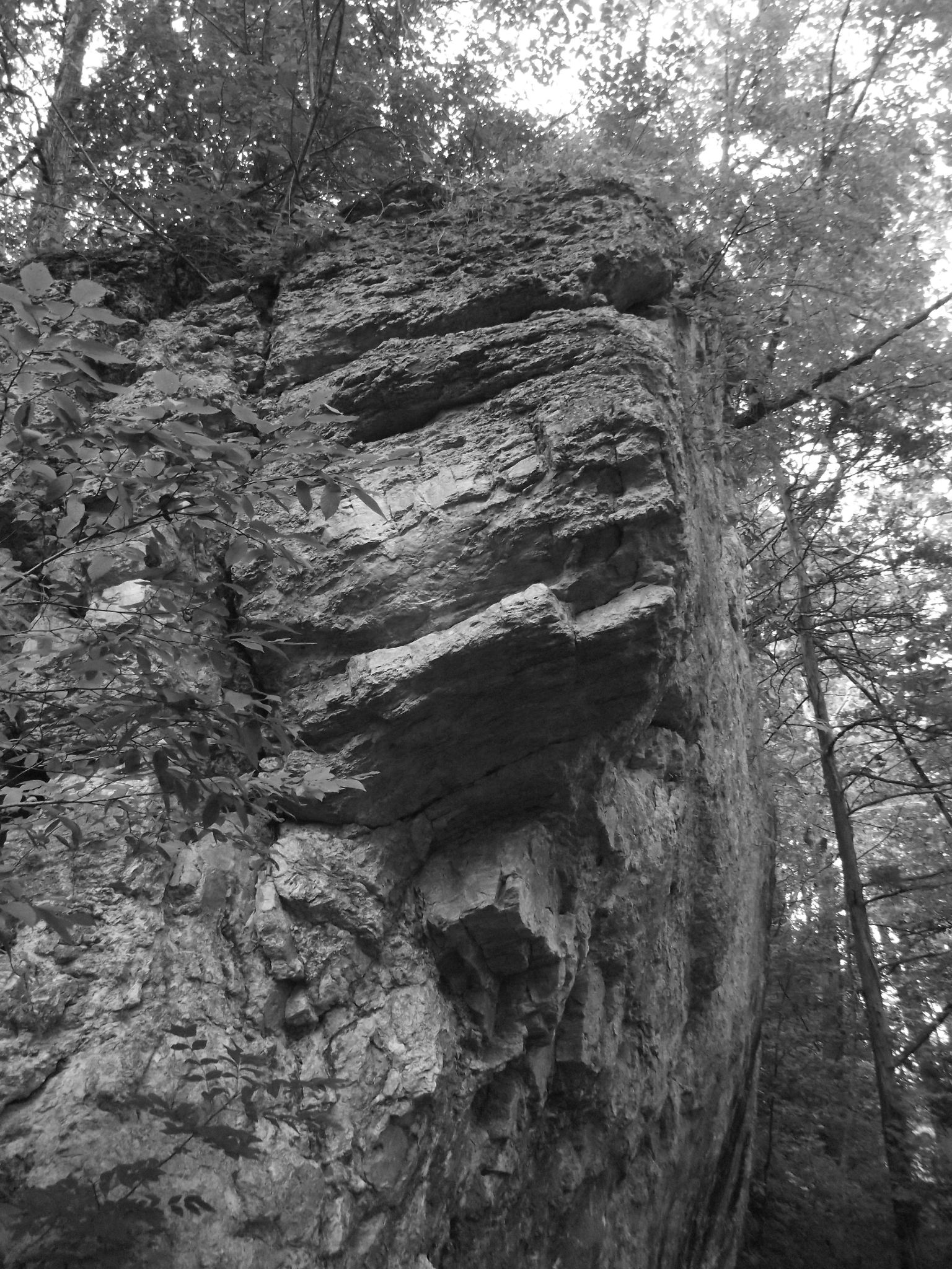 halborlandamericancountryman.com – Hal Borland