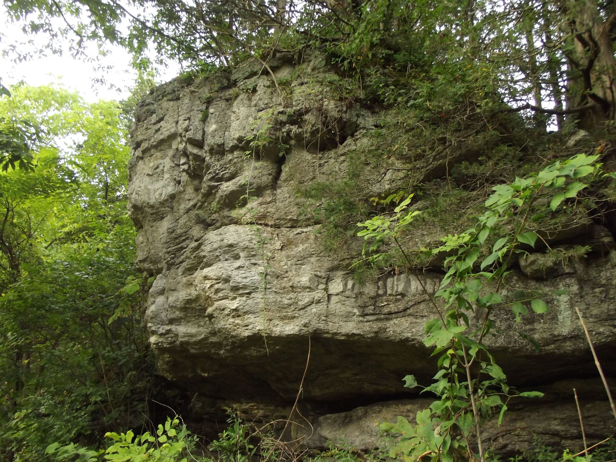 halborlandamericancountryman.com – Hal Borland